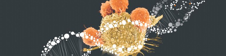 From Bench to Biomarker: Applications of the immunoSEQ Assay Across the ...