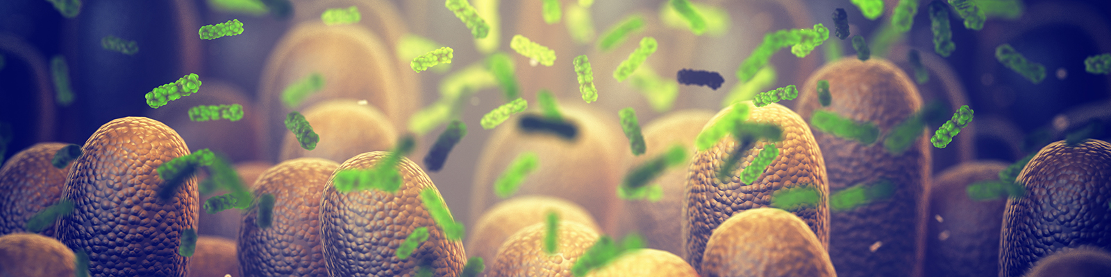 Preclinical Models For Microbiome Research In Oncology And Inflammatory