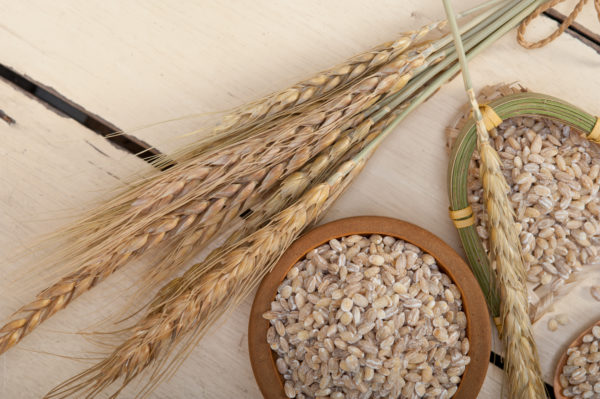 EverGrain's Line of Barley-Based Products Scores Upcycled Certification ...