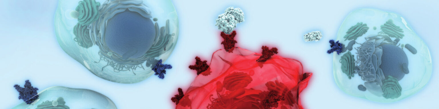 Webinars Archive - Xtalks