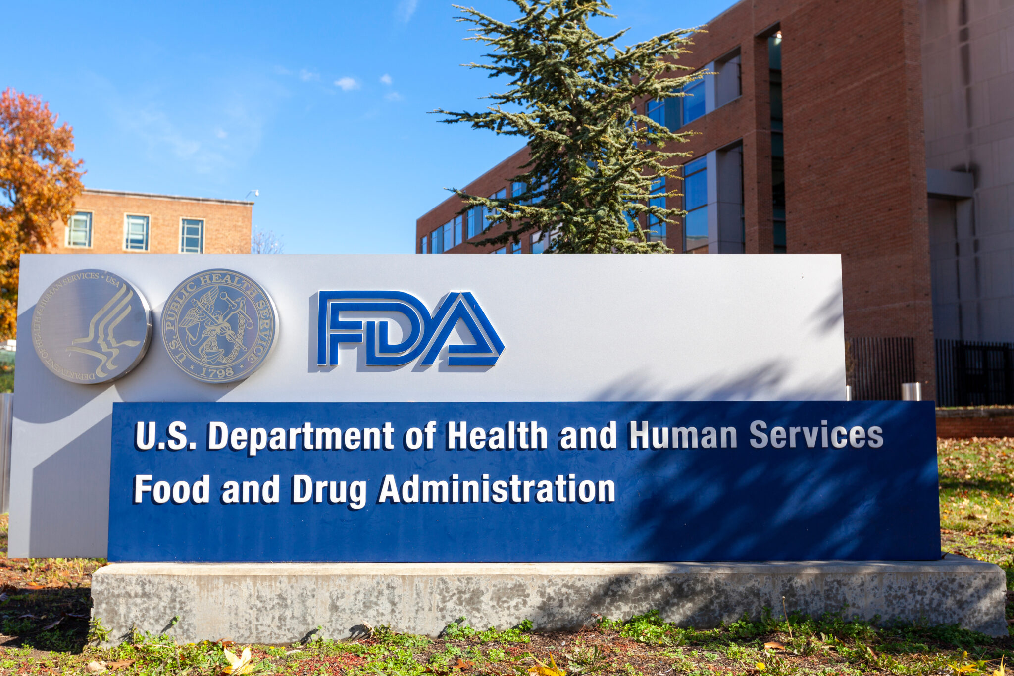 FDA Approves Enhertu-Perjeta Combo as First-Line Treatment for HER2 ...