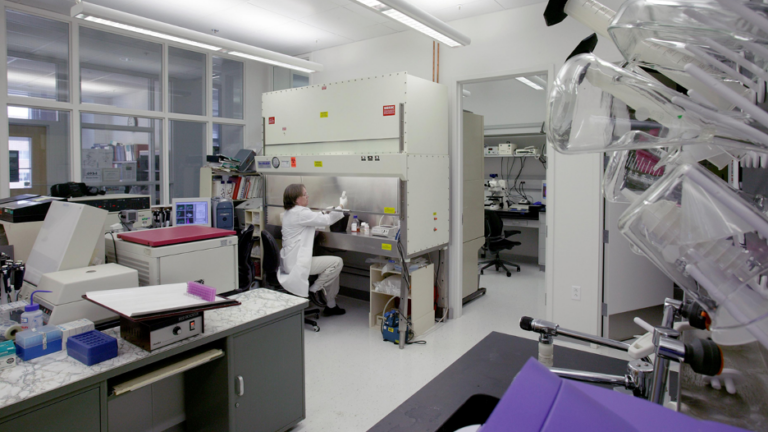 New FDA Guidance Could Reduce Animal Testing for Some Cancer Drugs - Xtalks